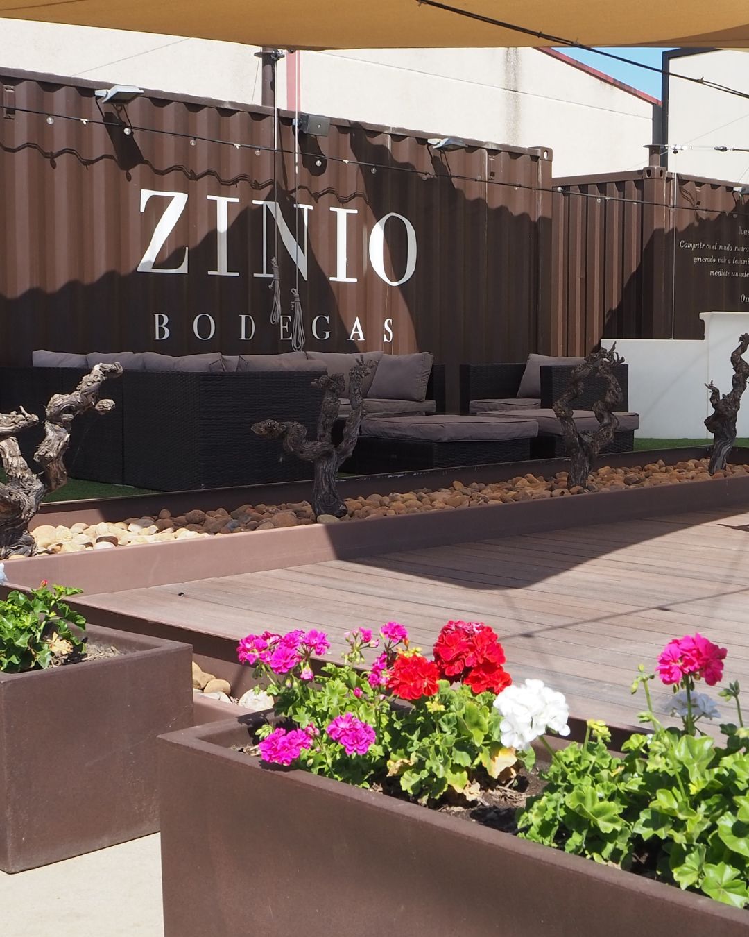 6 Rioja Wines and Their Spring Pairings - ZINIO Bodegas