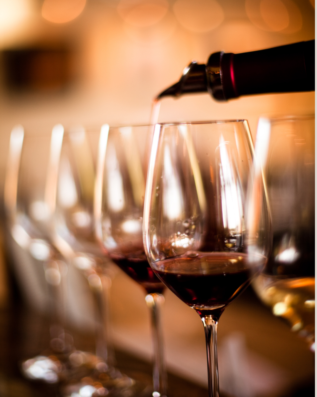 6 Basic wine tasting terms every beginner should know - ZINIO Bodegas